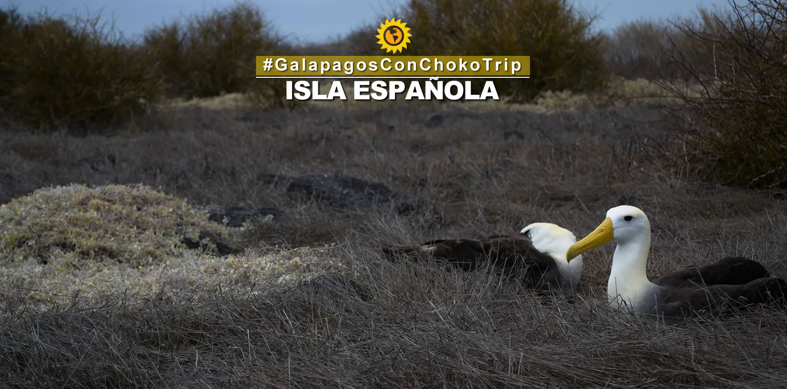 Isla Española | Tour diario desde $250 | Galápagos con ChokoTrip
